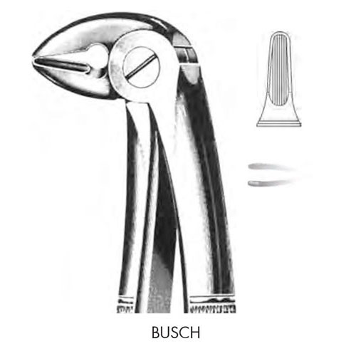 Busch Extracting Forceps - English Pattern, Broad - American Medicals