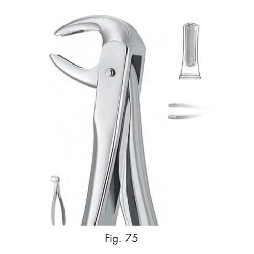 English Pattern Extracting Forceps for Lower Canines/Premolars - Fig 75