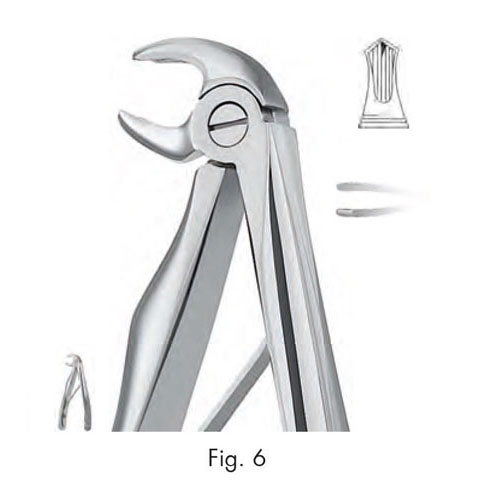 Klein Extracting Forceps for Children for Lower Molars - Figure 6
