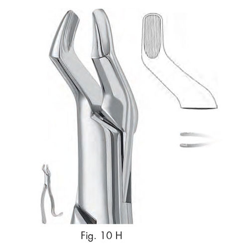 ExtractiAmerican Pattern Extracting Forceps for Upper Molars - Figure 10H