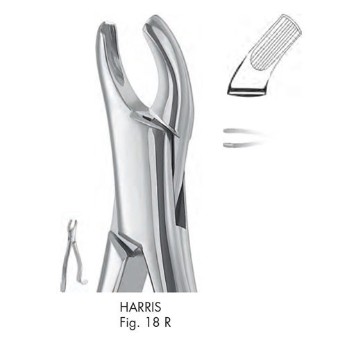 Harris Extracting Forceps for Upper Molars, Right - American Pattern ...