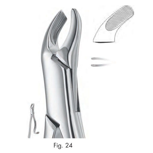 American Pattern Extracting Forceps for Upper Molars - Figure 24
