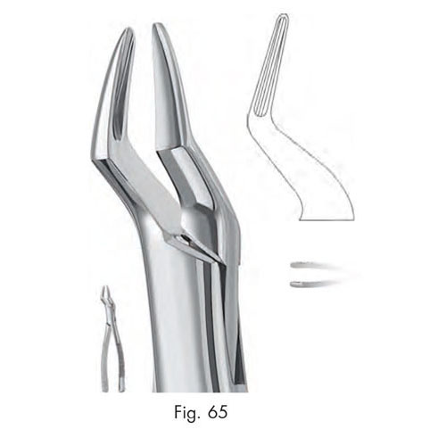 American Pattern Extracting Forceps for Upper Incisors and Roots ...