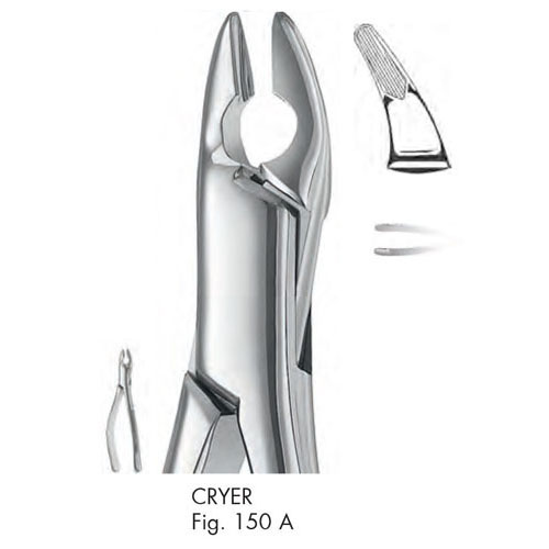 Cryer Extracting Forceps for Upper Incisors, Premolars, and Roots ...