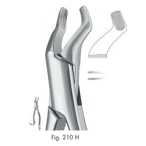 American Pattern Extracting Forceps for Upper Wisdoms - Figure 210H