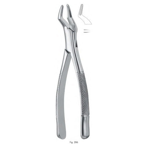 American Pattern Extracting Forceps for Upper Premolars, Incisors, and ...