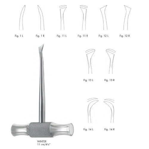 Winter Root Elevator - American Medicals